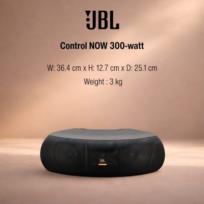 JBL Control NOW 300-watt, dual 4" two-way loudspeaker - Forests Hills